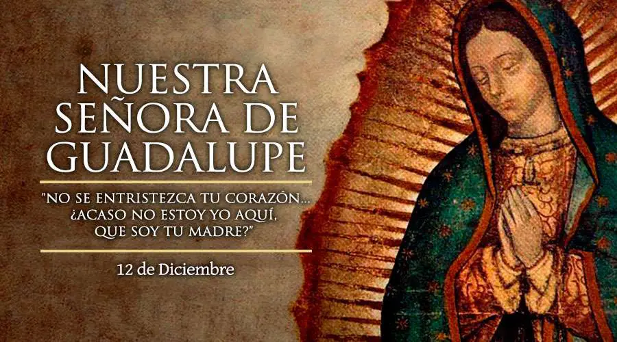 LA VIRGEN DE GUADALUPE » Conoce su Historia y Oraciones ⭐ 【2023】